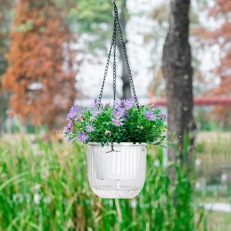 25 Vibrant Hanging Planter Ideas for Your Front Porch