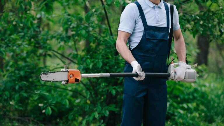 Top 11 Best Long Pole Saws [Oct 2025] Reviews & Buying Guide